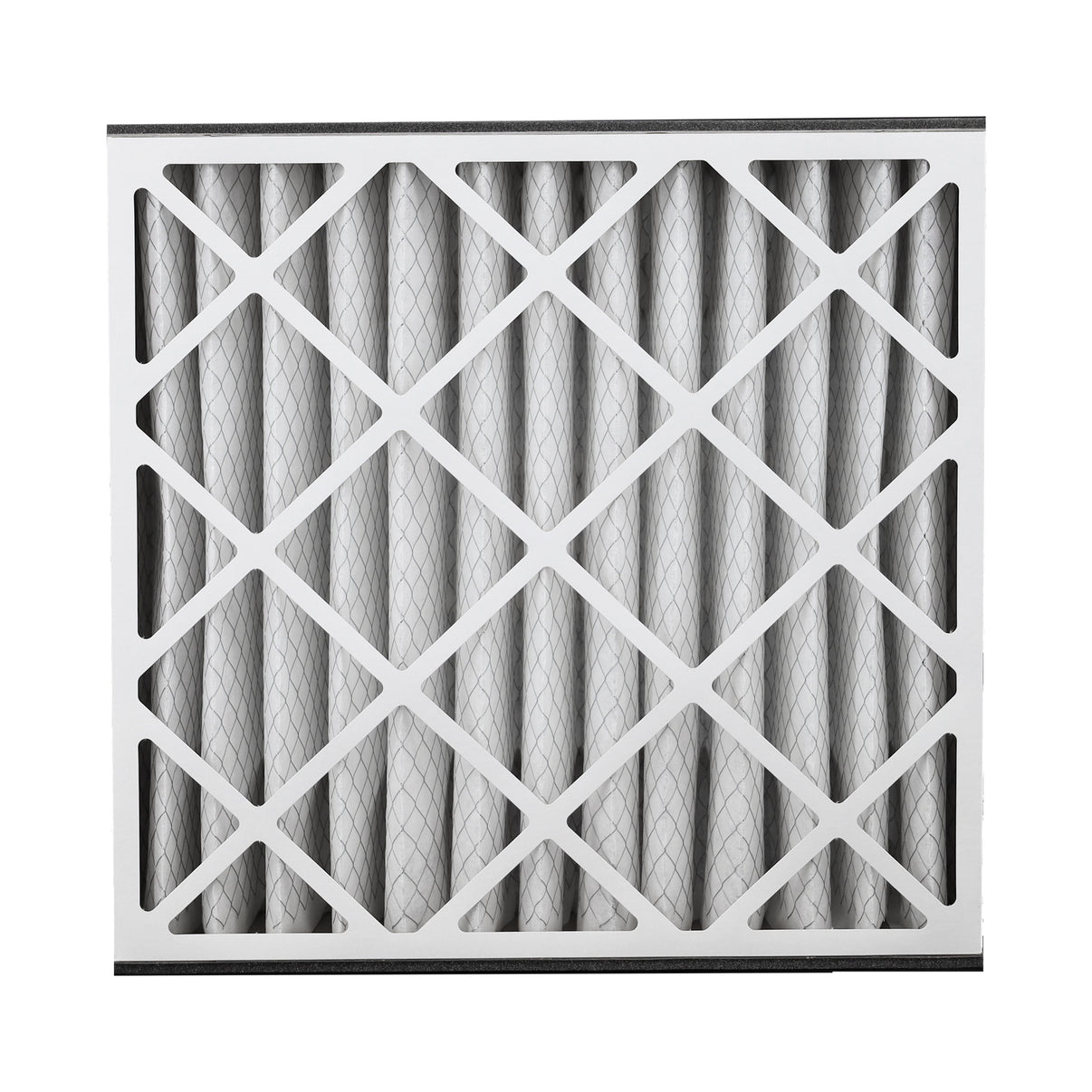 20x20x5 Air Bear Filter - Air Bear