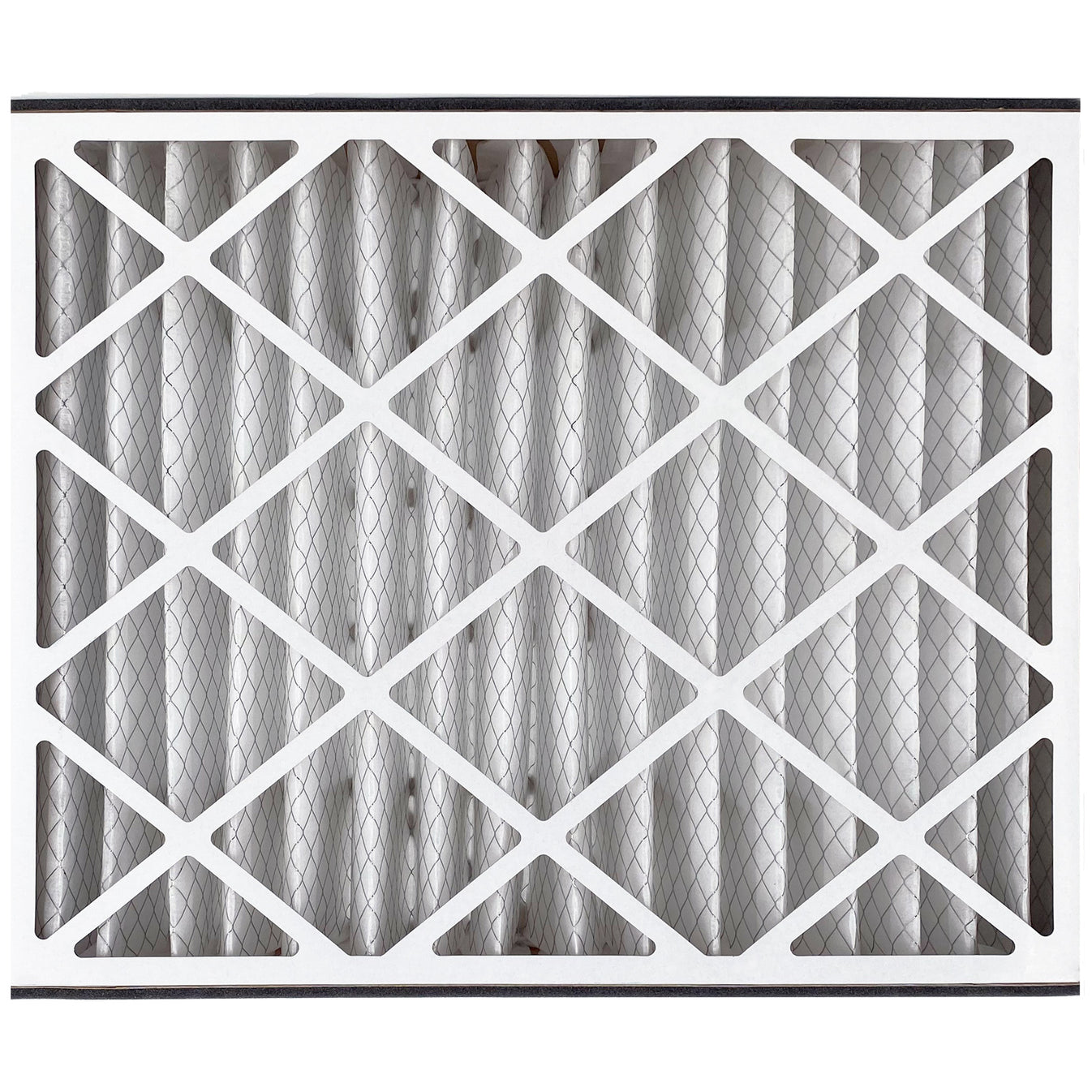 20x25x5 TRION Air Bear Filters - Air Bear